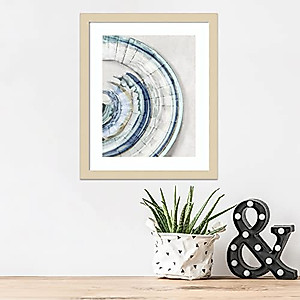 Amanti Art Fantasy Shell I by Emma Peal Wood Framed Wall Art Print (14 in. W x 17 in. H), Svelte Natural Frame