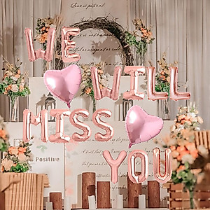 We Will Miss You Balloons, Rose Gold Mylar Farewell Party Sign, Going Away/Job Change/Travel/Retirement/Graduation Party Supplies