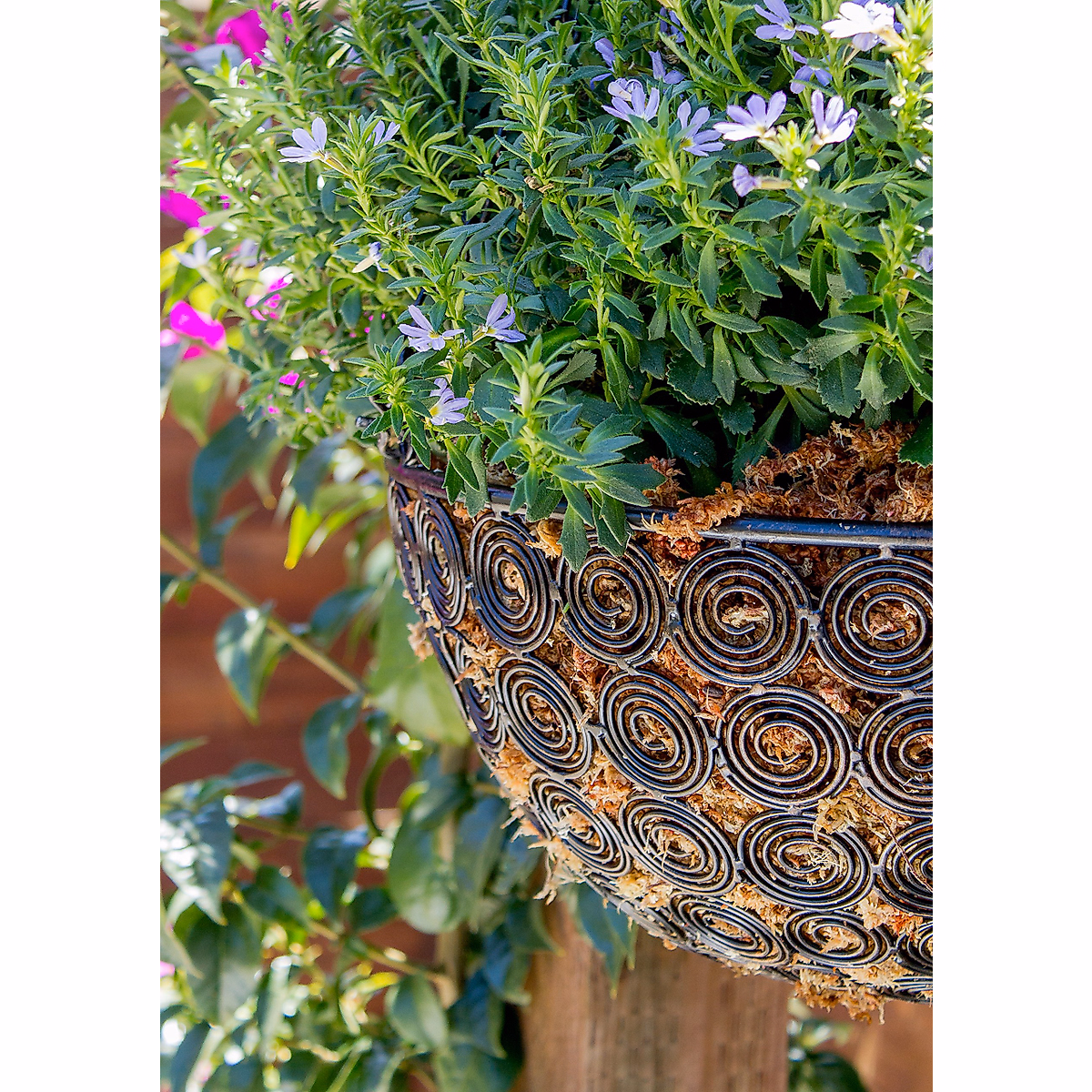 SuperMoss (22325) Orchid Sphagnum Moss Dried, Natural, 1 Pound Mini Bale