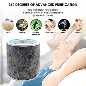 Flintar HP102 True HEPA Replacement Filter, Made in TAIWAN, Compatible with Shark Air Purifier HP100, HP102, HC450, HC451, HC452, HC455, Compares to Part # HE1FKBAS and HE1FKPET (2-Pack)