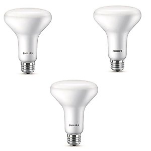 PHILIPS LED 7.2w (65w Equivalent) Dimmable Indoor BR30 Flood Light Bulb - 650 lumens - Daylight - E26 Medium Base (3 Pack)