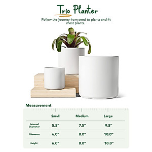 LE TAUCI Ceramic Plant Pots Indoor, 10 Inch 8 Inch 6 Inch Planters for Indoor Plants, Mid-Century Modern Flower Pots with Drainage Hole and Plug, Cylinder Round Planter Pots, Set of 3, White