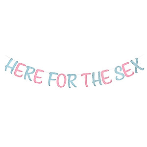 Glitter Here for the Sex Banner Gender Reveal Party Baby Shower Paper Garland - Pink or Blue