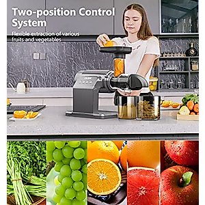 Juicer Machines, Fezen Slow Masticating Juicer Extractor, Cold Press Juicer with Two Speed Modes, Quiet Motor/Reverse Function, Higher Juice Yield Slow Juicer for Vegetables & Fruits, Easy to Clean