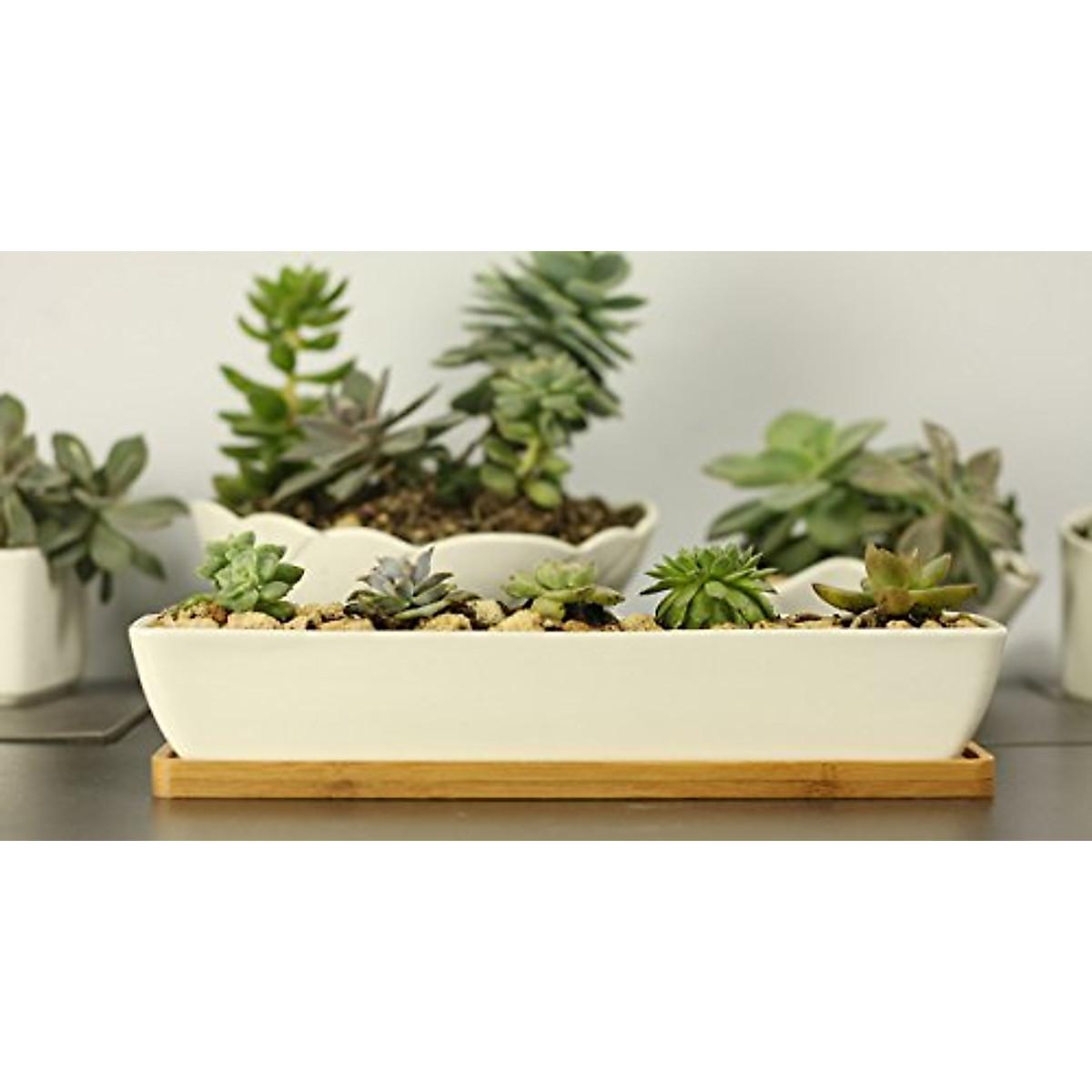 11inch Long Rectangle White Ceramic Succulent Planter Pots/Mini Flower Plant Containers with Bamboo Saucers. Product Size:11x2.36x1.77inch,not Include The Plant. (Long Rectangle)