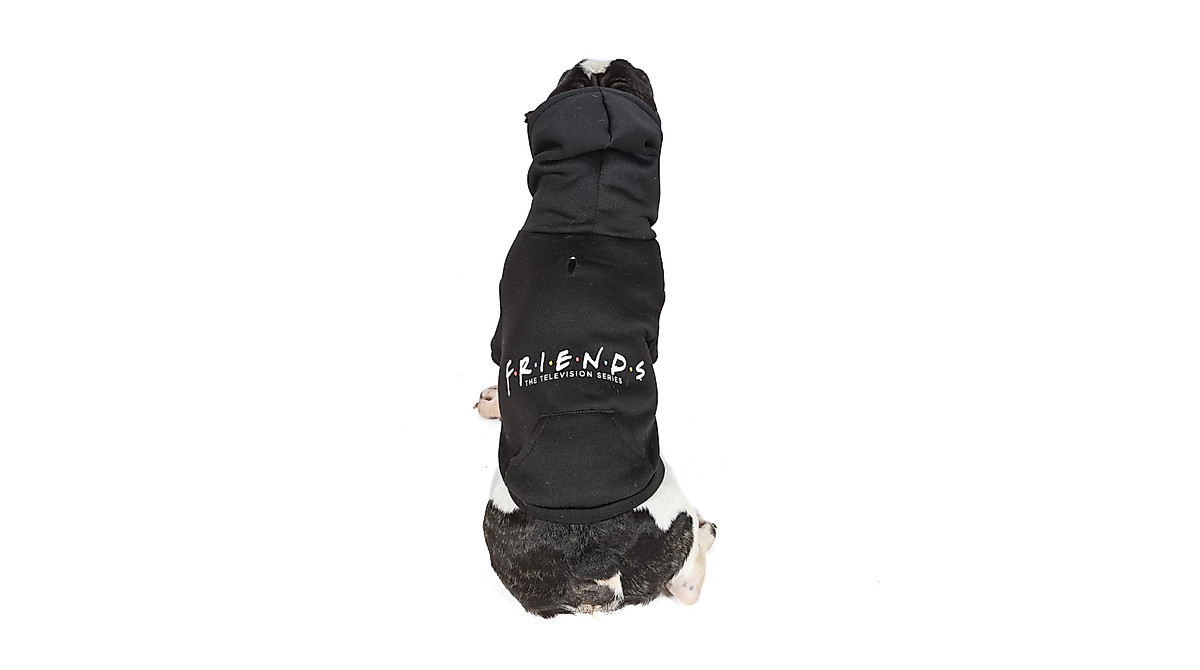 Friends Dog Hoodie - Official WB Pet Apparel in Black