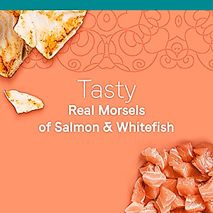 Canidae Adore Premium Wet Cat Food, Morsels with Salmon and Whitefish in Broth, 2.46 Ounce (Pack of 24), Grain Free