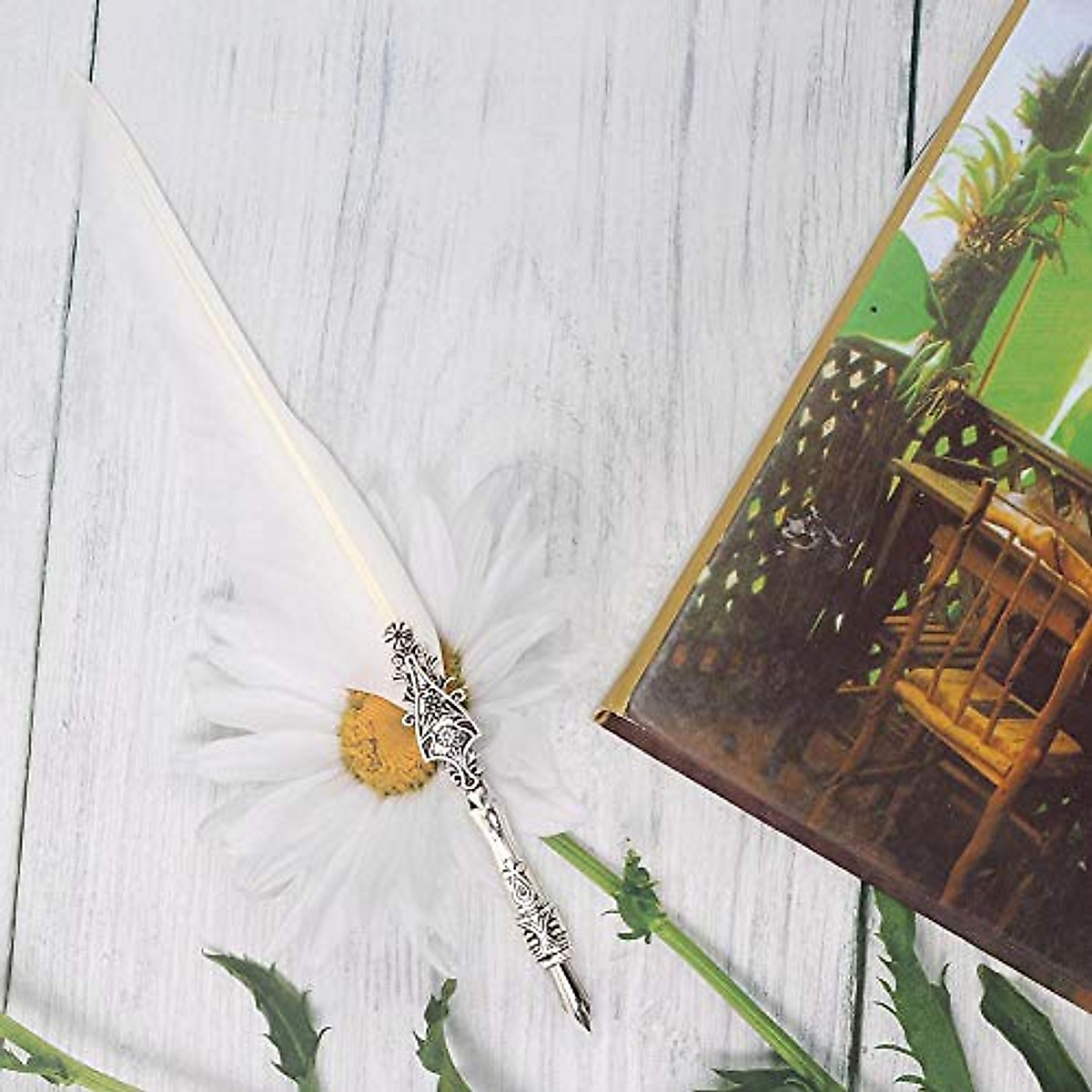 Vikye Quill Pen, English Calligraphy Retro Feather Quill Dip Pen Fountain Pen Sign Pen Set Stationery Gift (White)