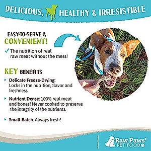 Raw Paws Freeze Dried Chicken Necks for Dogs & Cats, 4-oz - Made in USA, Human Grade - Raw Freeze Dried Dog Treats - Raw Chicken Necks for Cats - Antibiotic-Free Real Chicken Cat Treat