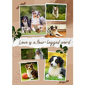 InnoBeta Australian Shepherd Gifts for Women, Best Aussie Blanket for Aussie Mom, Australian Shepherd Throw Blanket, 50 x 65 inch, Skin Friendly