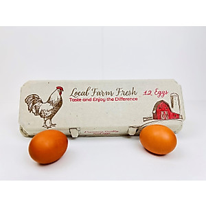 Printed Egg Cartons Red/Brown Design - 100 units