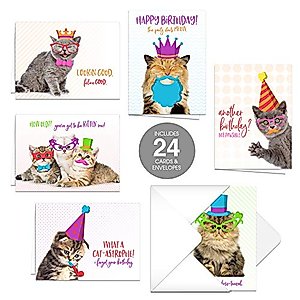 Funny Cat Pun Birthday Card Pack / 24 Cat Birthday Cards With White Envelopes / 4 7/8" x 3 1/2" Cats Birthday Note Cards/Hilarious Cute Kitten Birthday Greeting Cards