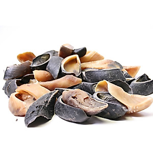 GOGO USA Cow Hooves for Dogs USA Dog Dental Treats and Chews, 50 Hooves