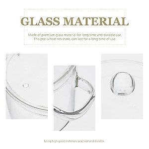 Clear Glass Simmer Pots for Cooking on Stove, Glass Stew Pot Glass Soup Pot With Lid Kitchen Stockpot Glass Cooking Pot Thickened Stock Pot Large Serving Bowl Simmer Pot for Stove (1.35L / 46 OZ)