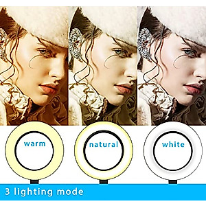 Overhead Camera Mount with Ring Light, Flexible Articulating Phone Arm Stand Compatible with iPhone, Logitech Webcam, Desk Tripod for YouTube Live Stream Cooking Nail Video Recording