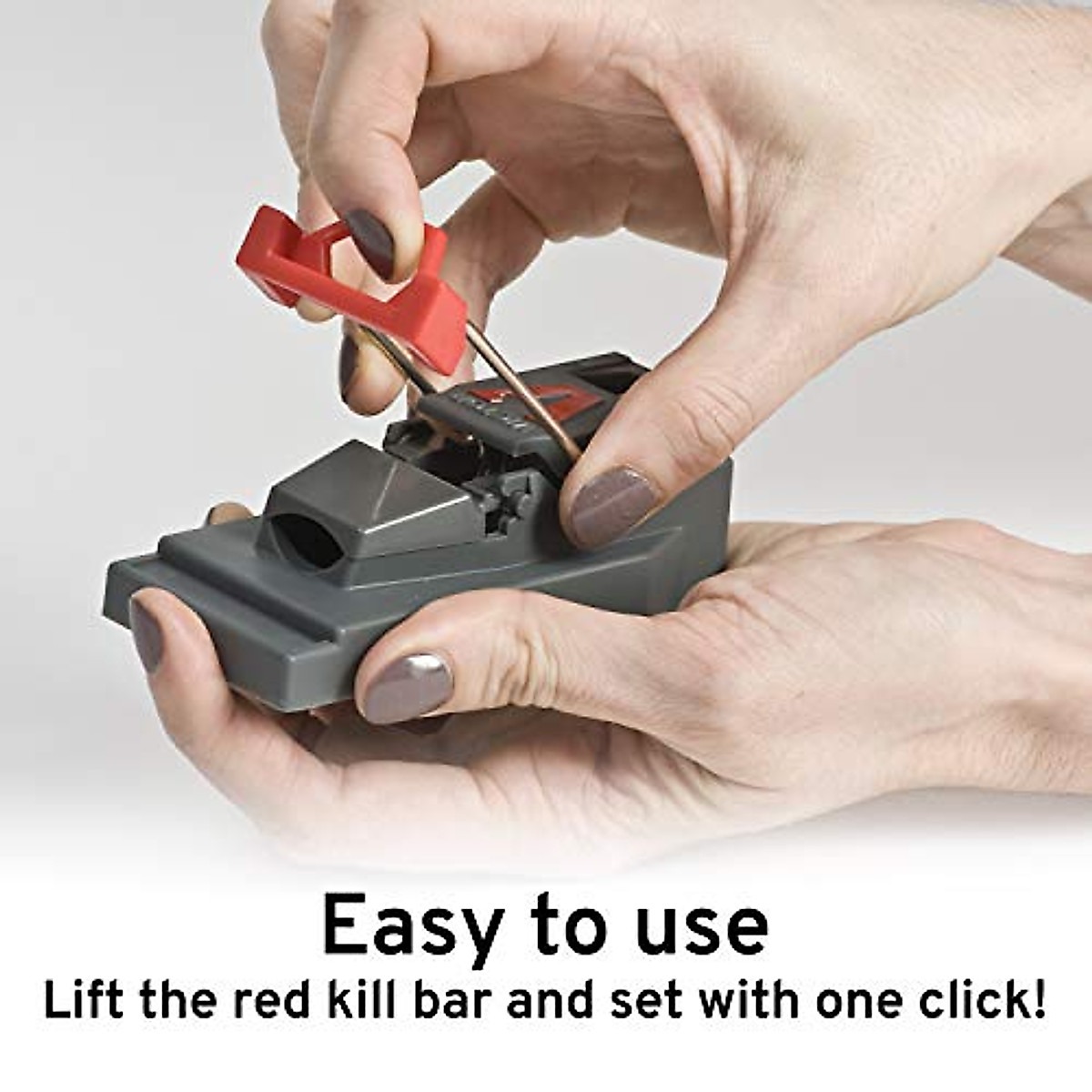 Victor M140S Quick Kill Mouse Trap, 2-Pack Easy to Set mouse trap
