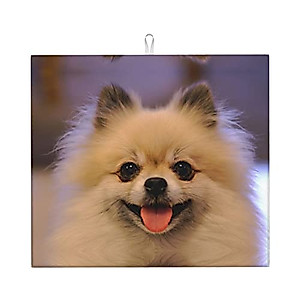 Happy short-haired pomeranian Printed Drying Mat For Kitchen Ultra Absorbent Microfiber Dishes Drainer Mats Non-Slip Silicone Quick Dry Pad - 18 X 16inch