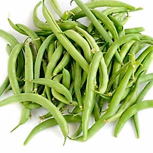 Blue Lake Pole Bean Seeds for Planting, 50+ Heirloom Green Bean Seeds Per Packet, (Isla's Garden Seeds), Non GMO Seeds, Botanical Name: Phaseolus vulgaris
