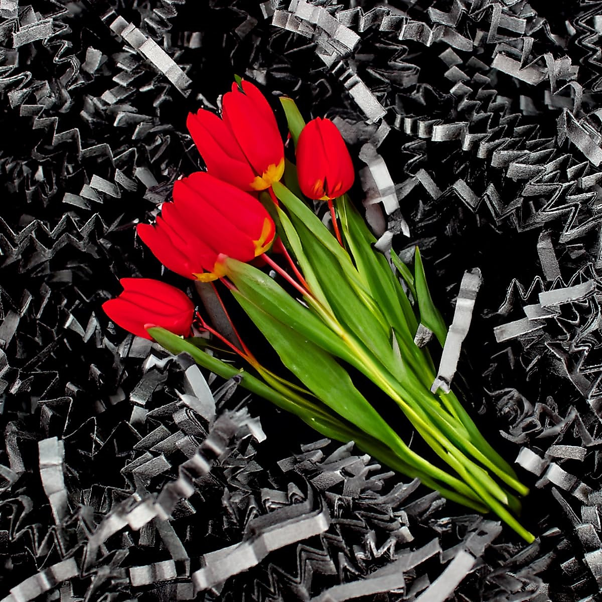 Mighty Gadget (R) 1/2 LB Black Crinkle Cut Paper Shred Filler for Gift Wrapping & Basket Filling