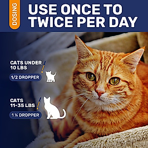 Cat Antibiotic ◆ Antibiotics for Cats ◆ Natural Antibiotics for Cats with Turkey Flavor ◆ Cat Antibiotics ◆ Antibiotic for Cats ◆ Pet Antibiotic ◆ 2 Oz