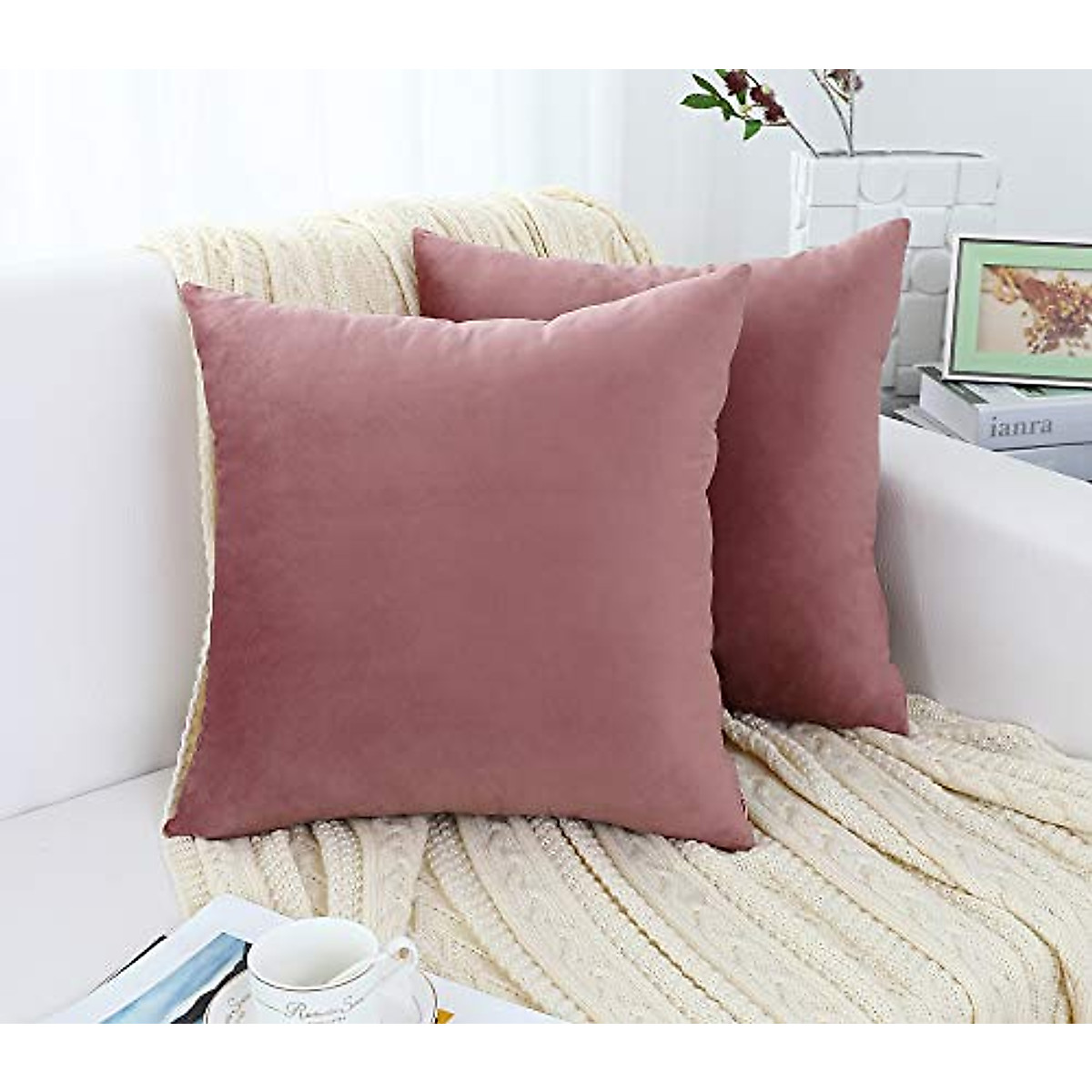 Jeneoo Comfy Soft Velvet Throw Pillow Covers for Sofa Couch, Decorative Solid Square Cushion Cases for Bedroom Car (Dusty Rose, 16 x 16 Inches, 2 Pieces)