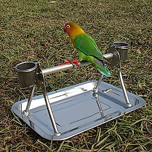 Litewood Bird Perch Stand Stainless Steel Table Rack with Feeder Cups Tray for Budgie Parakeet Cockatiel Conure Finch