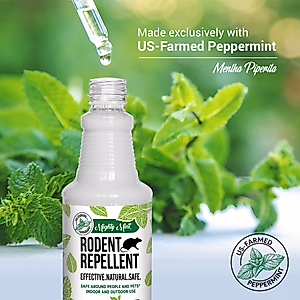 Mighty Mint Peppermint Oil Rodent Repellent Spray, for Indoor/Outdoor Use, 16oz