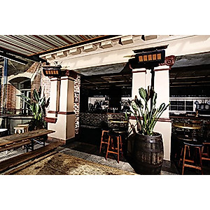 Bromic Heating Tungsten 500 Smart-Heat Gas 5 Burner Radiant Infrared Patio Heater, Natural Gas, 43000 BTU