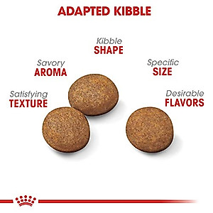 Royal Canin Large Puppy Dry Dog Food, 18 lb bag