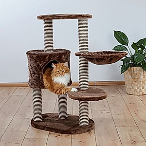 TRIXIE Moriles Brown Cat Tower with Scratching Posts, Condo, Hammock, Padded Platform, cream, Medium (17 x 24 x 39 in.)