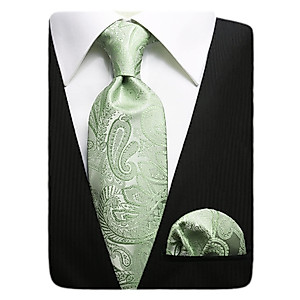 TaecMin Sage Tie Dusty Green Ties for Men Paisley Neckties and Pocket Squares Set for Weddings