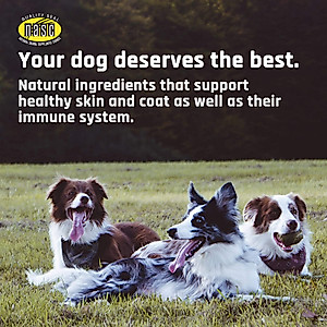 Majesty's Grain-Free Buddy Bites Skin and Coat Wafers for Medium / Large Dogs - Superior Skin, Coat, and Immune Support Supplement - Carob and Sweet Potato Flavored - 56 Count (Up To 8 Week Supply)