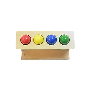 LEADER JOY Montessori Toddlers Wooden Push Ball Toys Baby Preschoolers Toys Push Toys
