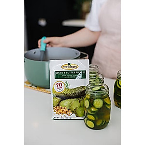 Mrs Wages Bread and Butter Pickles Quick Process Mix 5.3 Ounce (Pack of 6)