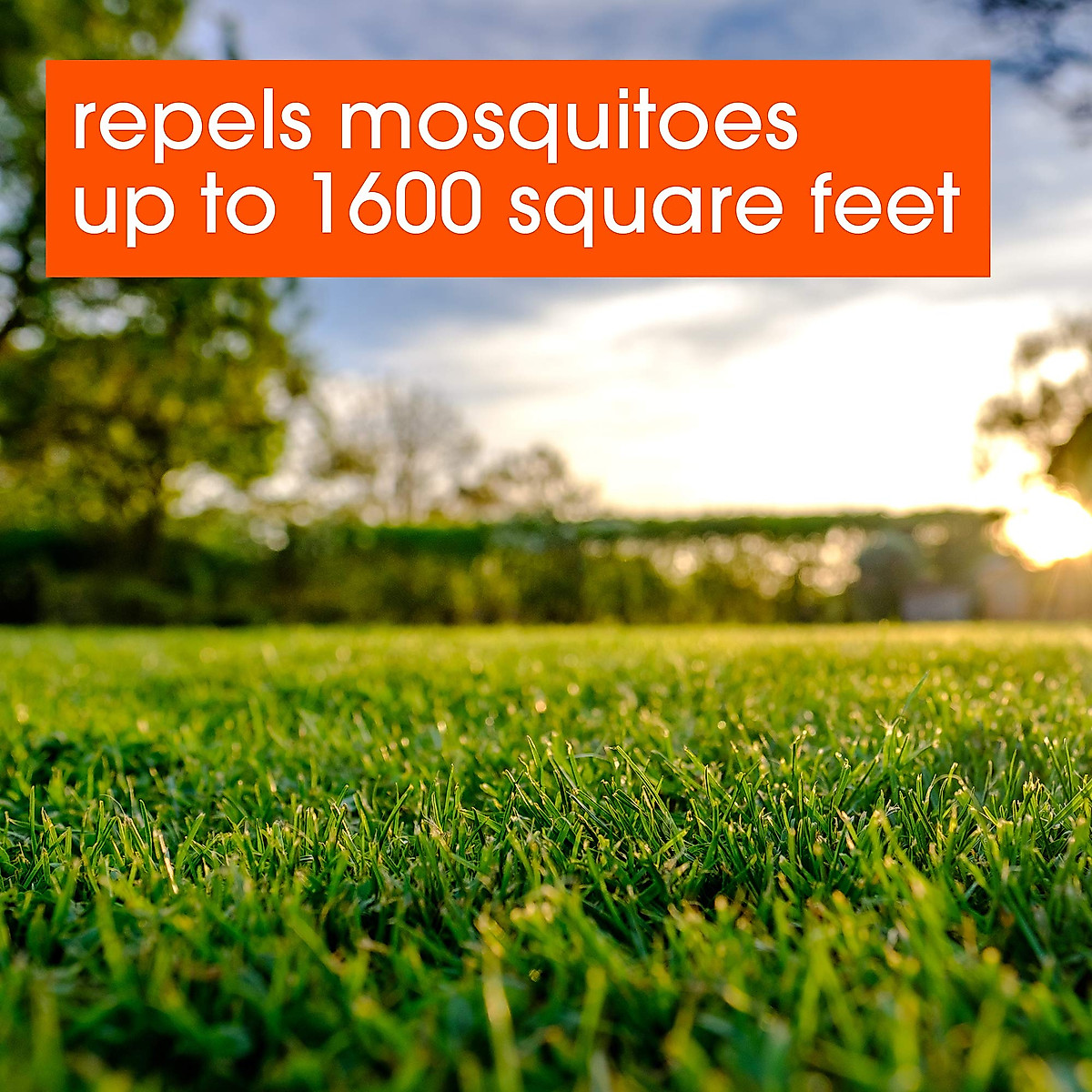 OFF! Bug Control Yard Pretreat, 32 OZ (Pack - 3)