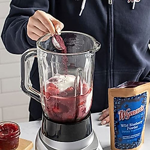 Wyman's Wild Blueberry Powder - 100% Wild Blueberries, No Sugar Added, Antioxidant Activity, Resealable Pouch - 8oz