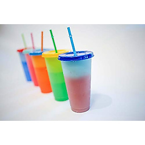 Color Changing Cups: 24oz Cold Cups - 5 Reusable Cups, Lids and Straws - Stocking Stuffers - Christmas Present, Set of 5, …