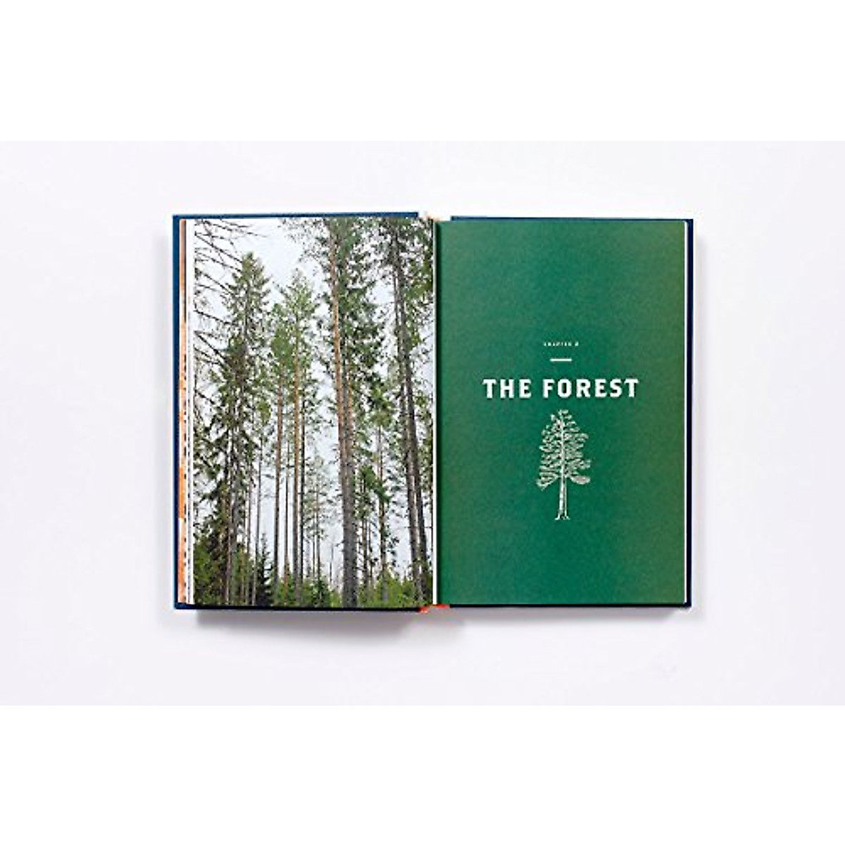 Norwegian Wood: Chopping, Stacking, and Drying Wood the Scandinavian Way