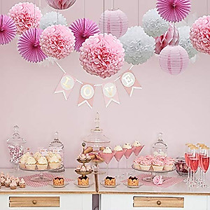 16pcs Pink Party Decorations Paper Pom Poms Honeycomb Balls Lanterns Tissue Fans for Birthday Wedding Baby Shower Graduation Valentine Party Supplies