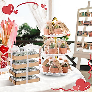 MTLEE 36 Pcs Succulent Candles Decorative Cactus Tealight Candle Tea Lights Handmade Baby Shower Candle Decorations Plant Candle with Mini Terracotta Clay Candle Holders for Wedding Home Party Decor