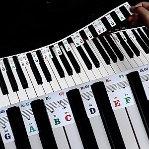 Piano Keyboard Stickers, 88 Full-Size Piano Rake Key Labels Overlay Removable for Beginners Kids (Colorful)