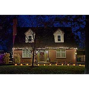 Set of 6 Brown Luminaries, Amber LED Tea Lights & Stakes