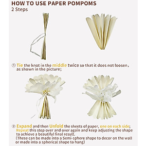 Kiwayo Baby Gender Reveal Party Decorations Supplies Kit Blue & Pink- Boy or Girl Banner, Tissue Paper Poms, Paper Lanterns, Circle Dot Garland, Tassels Garland- Gender Reveal Ideas Boy Or Girl