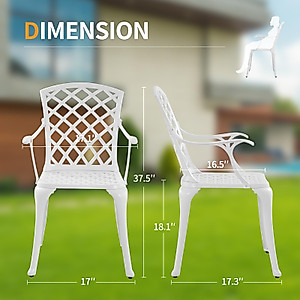 Withniture Outdoor White Cast Aluminum Arm Chair, Set of 2 Patio Dining Chairs, All-Weather Metal Outdoor Chairs w/Armrests, Bistro Chairs Set of 2 for Patio, Deck, Garden, Yard (White B, Set of 2)