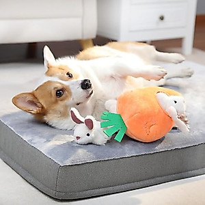 Amazon Basics Hide and Seek Squeaky Dog Plush Toy, Rabbit and Carrot, Orange and white, 5 Pack
