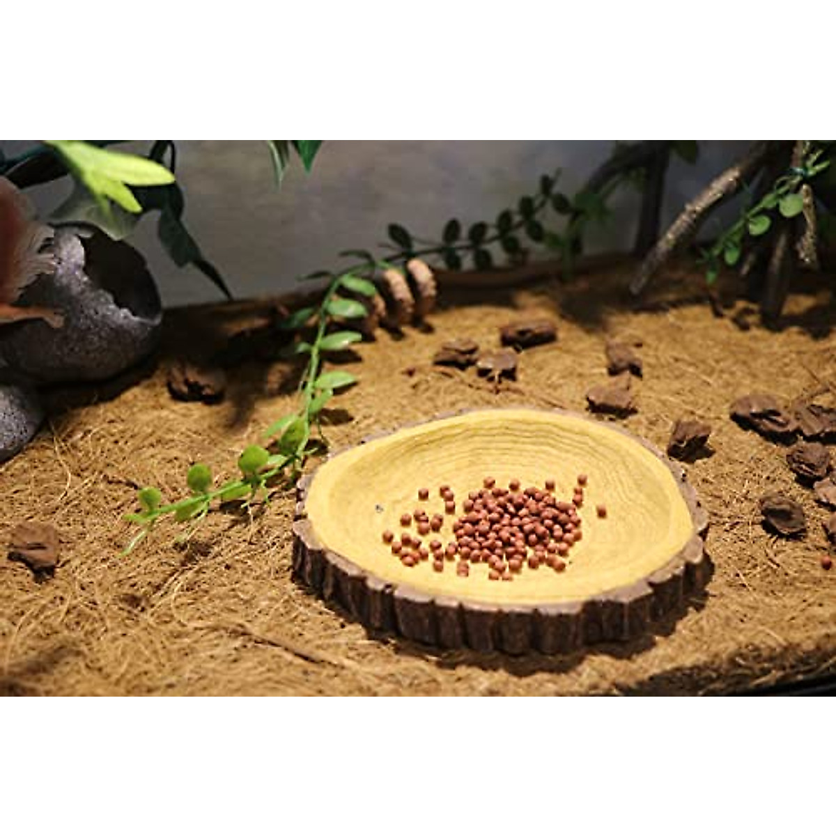 AQUA KT Reptile Corner Water Dish Food Feeding Bowl for Snake Lizard Bearded Dragon Turtle Feed and Terrarium Habitat Cage Decoration