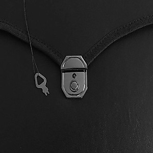 Masonic Regalia Provincial Full Dress Apron Square Compass G Cases [Multiple Colors] (BLACK)