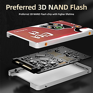 fanxiang S100 SATA III SSD 256GB 2.5" 6Gb/s Internal Solid State Drive 3D NAND TLC, Compatible with Laptop/Desktop for Gaming, IT Pros, Everyday Users