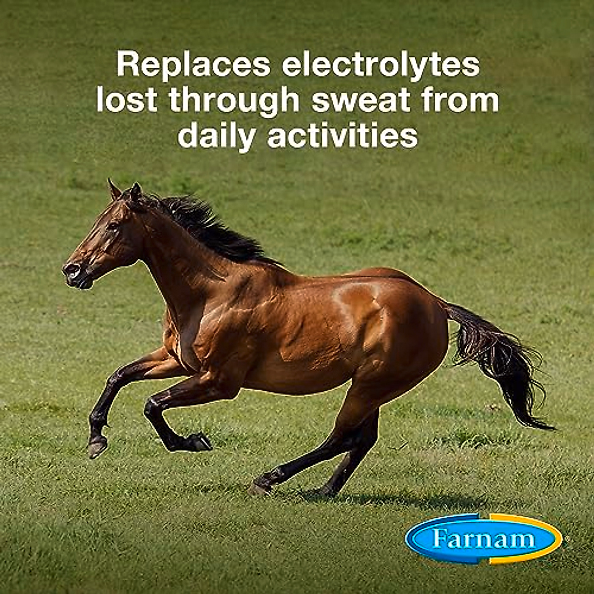 Farnam Apple Elite Horse Electrolyte Powder, Replaces minerals lost in sweat during exercise, extreme weather & stressful conditions, 5 lb., 40 day supply