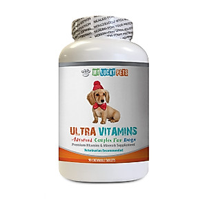 Dog Joint Supplement - Dog Ultra Vitamins - Veterinarian Recommended - Immune Support - Hair Skin Eyes and Bones Support - Dog Vitamin and probiotic - 1 Bottle (90 Treats)